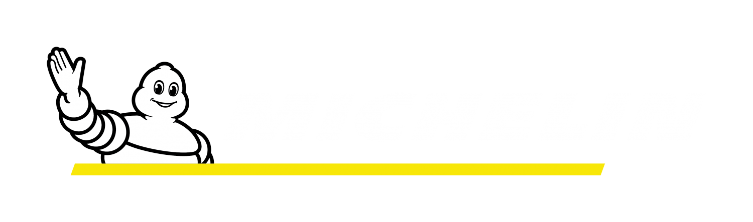 Michelin | Tyreline New Zealand