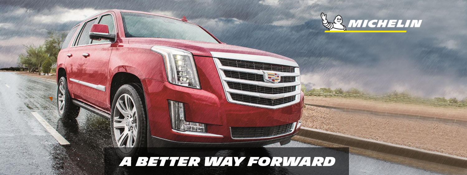 Michelin | Tyreline New Zealand